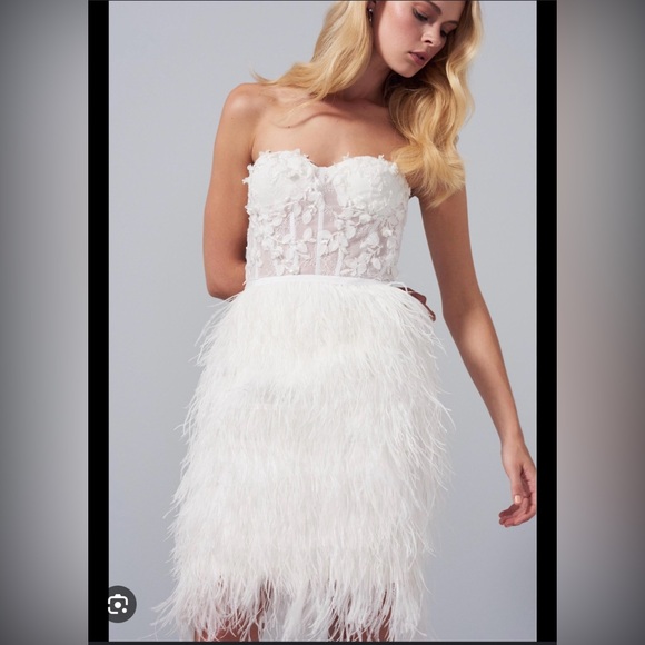 Allison Webb | Dresses | Hadley By Allison Webb Feather Mini Dress ...